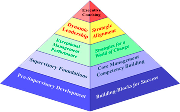 Offerings – Strategy Associates